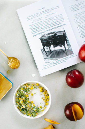 EMILY DICKINSON’S RED WINE PLUM COMPOTE WITH CHAMOMILE VANILLA BEAN ...