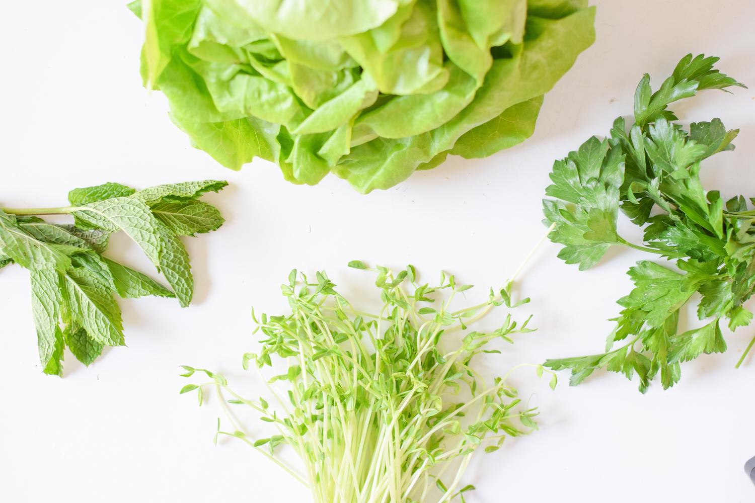 SUMMER GREENS WITH LEMON HERB YOGURT DRESSING. | Kale & Caramel
