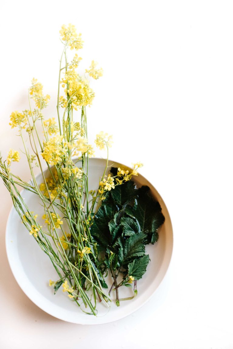 ROASTED FENNEL & SPRING GREENS SOUP. | Kale & Caramel